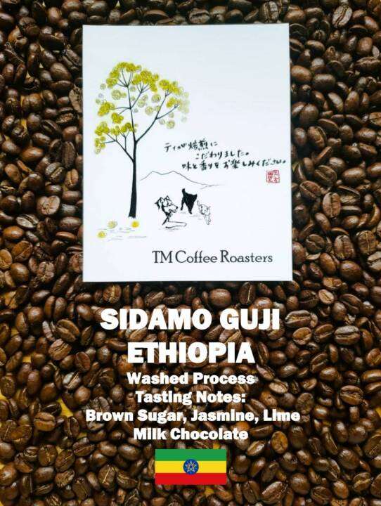 TM Coffee Roasters: Sidamo Guij, Ethiopia, Washed Process | Lazada.co.th