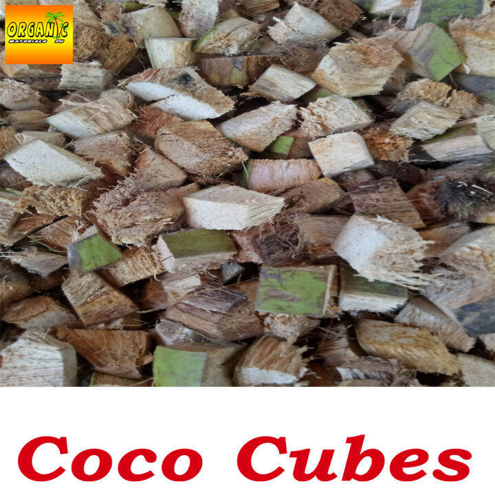 ORGANIC MATERIALS PH - Coco Cubes I 1 KG per pack I Used for care and ...