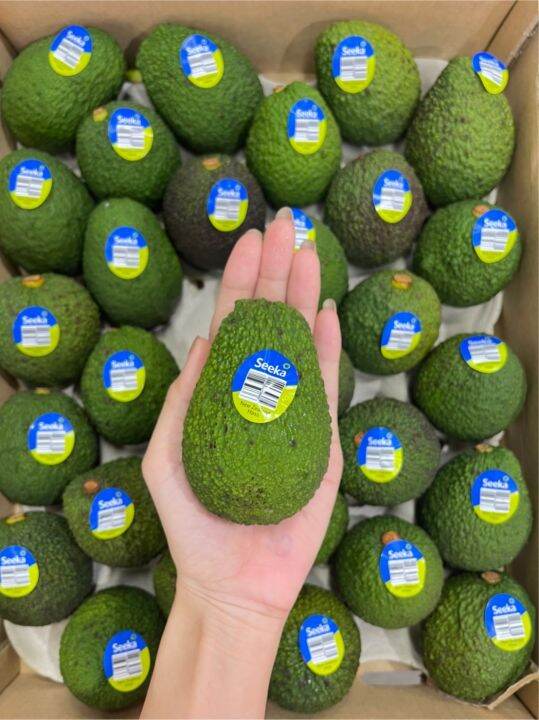 🥑 อโวคาโด Avocado สายพันธุ์แฮศ Hass ยี่ห้อ Seeka จาก นิวซีแลนด์ NZ ขนาด ...