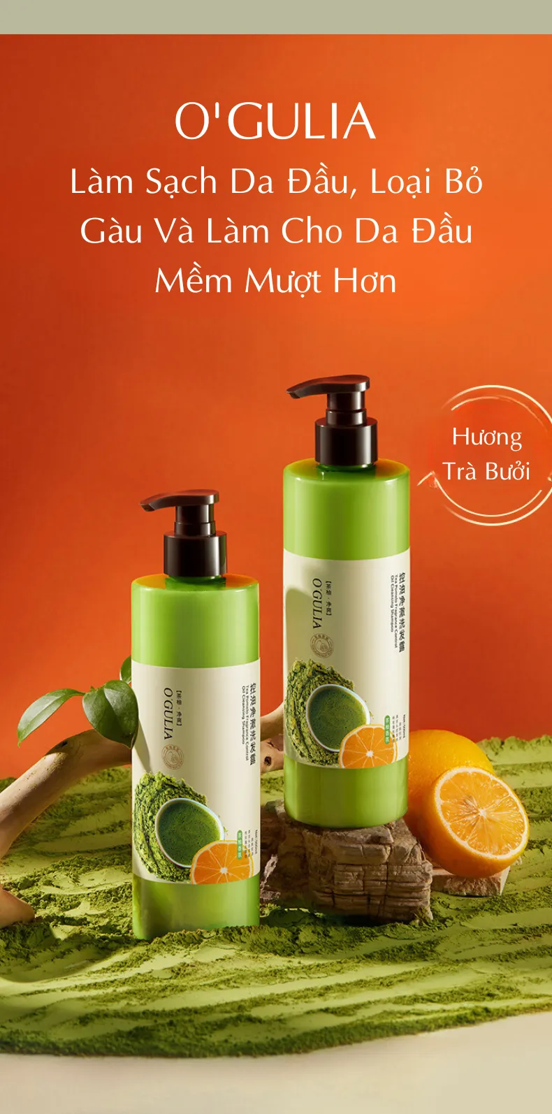 Dầu Gội Mọc Tóc Bưởi O'GULIA Chiết Xuất Tinh Chất Trà Xanh & Bưởi Giúp ...