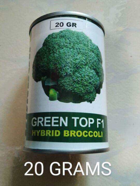 GREEN TOP F1 HYBRID BROCCOLI SEEDS)20 GRAMS)BY CONDOR SEEDS | Lazada PH