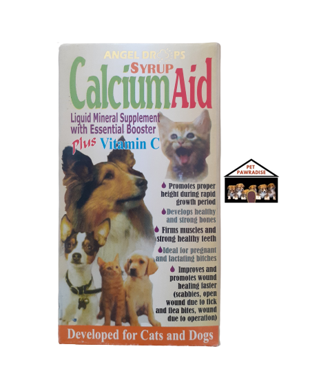 Angel Drops Syrup Calcium Aid 160ml | Lazada PH