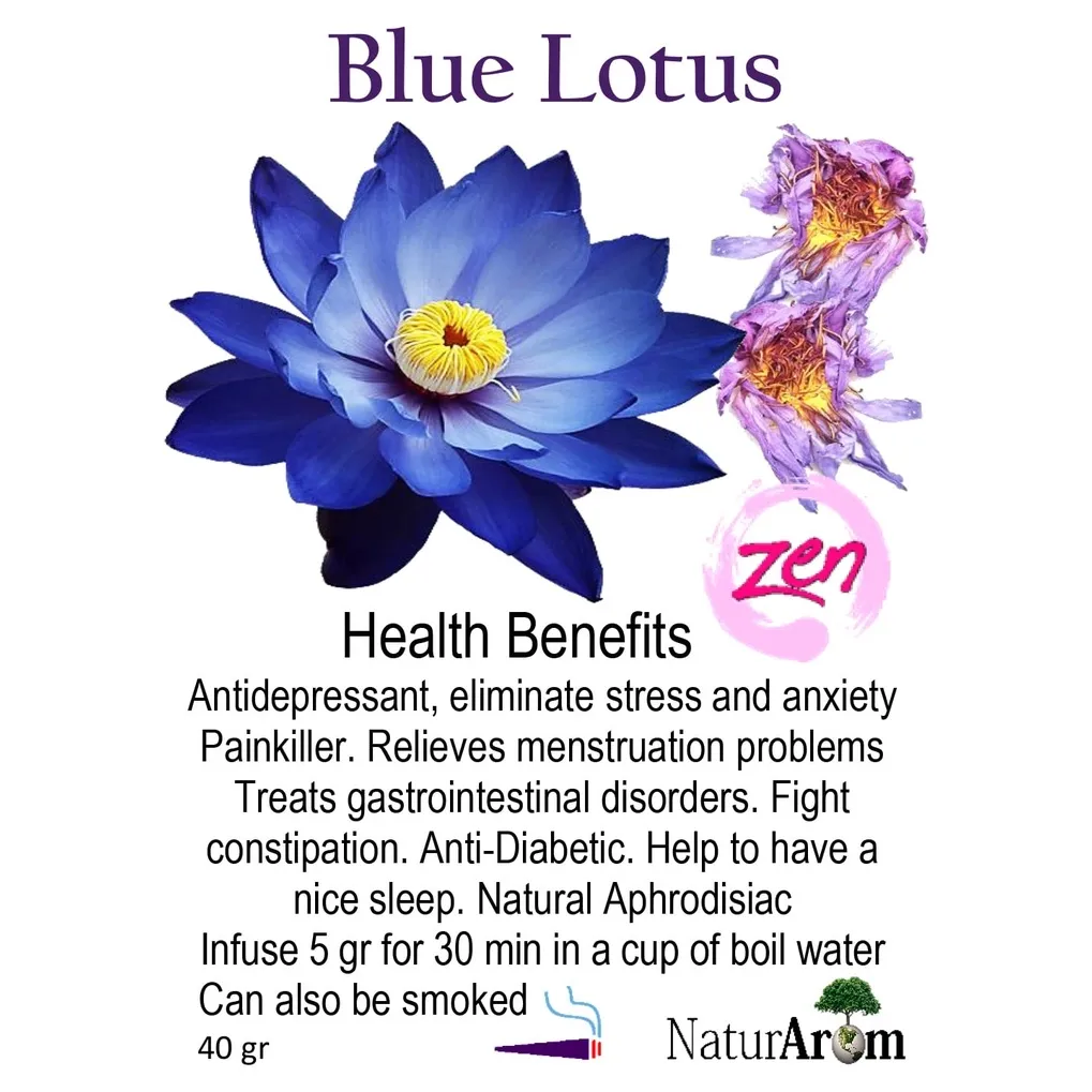 Blue Lotus Flower Tea Benefits | Best Flower Site