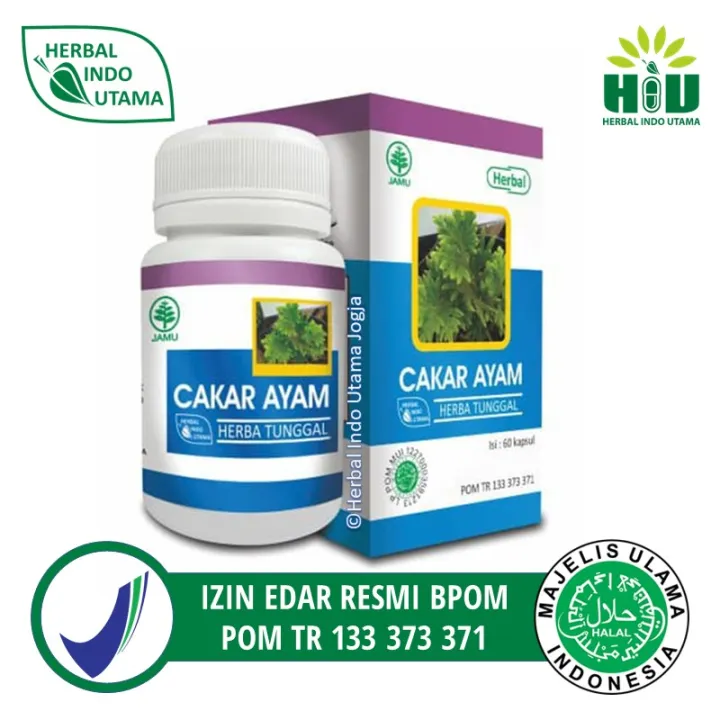 Cakar Ayam Obat Bronchitis Hepatitis Radang Infeksi Saluran Nafas ...