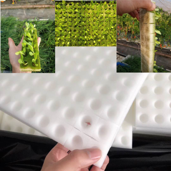 100 pieces White Seedling Sponge Soilless Hydroponic Vegetables ...