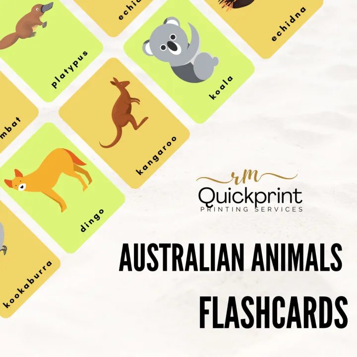 Australian Animals Flashcards | Laminated 2x3 size | 250mic | High ...