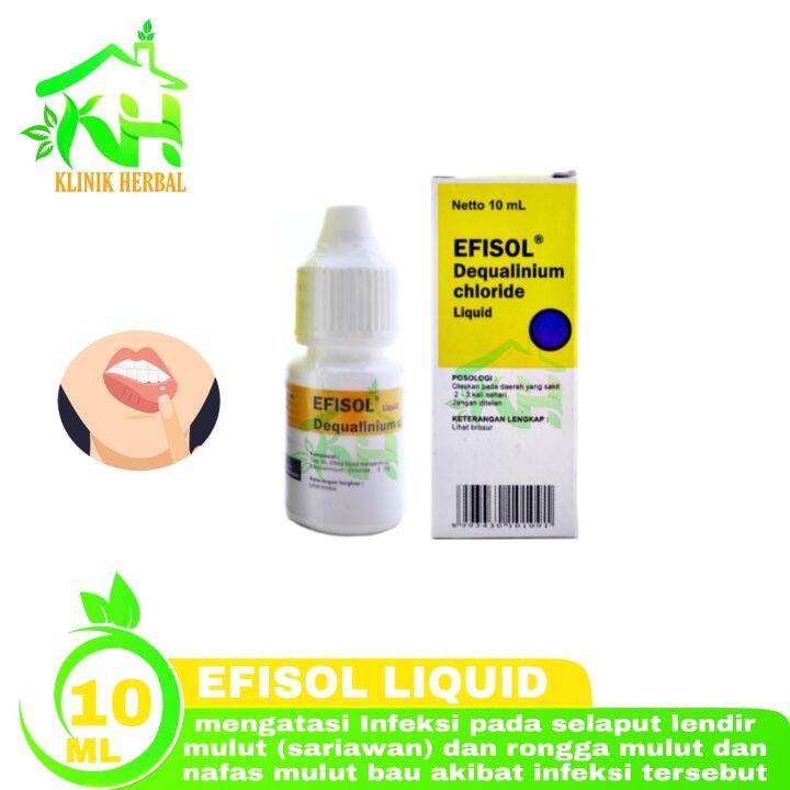 Efisol Liquid - Obat Sariawan Panas Dalam | Lazada Indonesia
