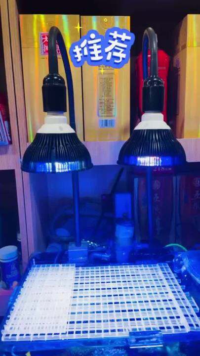 LED Aquarium Light Lamp Plant Bulb 5054W for Saltwater Marine Moral ...