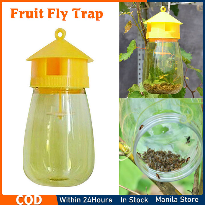 Wasp Trap Fruit Fly Attractant Plastic Drosophila Trap Orchard Insect ...