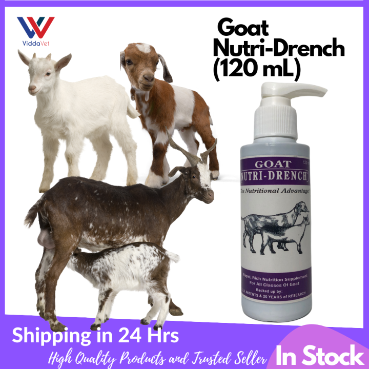Nutri Drench for Goat & Sheep Nutrition Supplement 120 ml Viddavet ... Nutri Drench for Goat & Sheep Nutrition Supplement 120 ml Viddavet ...