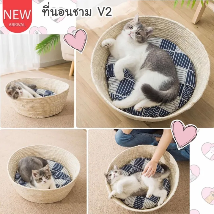 CatHoliday ที่นอนชาม V2 ที่นอนแมว ที่นอนสัตว์เลี้ยง | Lazada.co.th