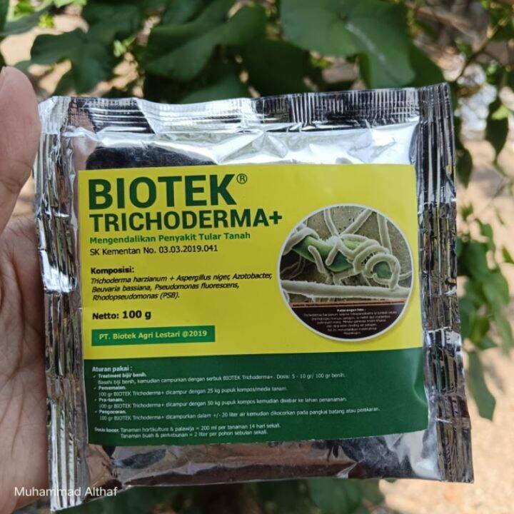 Pupuk Biotek Trichoderma Tricoderma 100 Gram Mengendalikan Penyakit ...