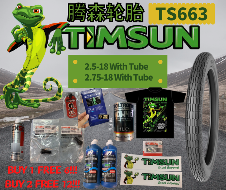 🦎TIMSUN MALAYSIA TS663 (YAMAHA RX-Z, TUBE TYPE) | Lazada