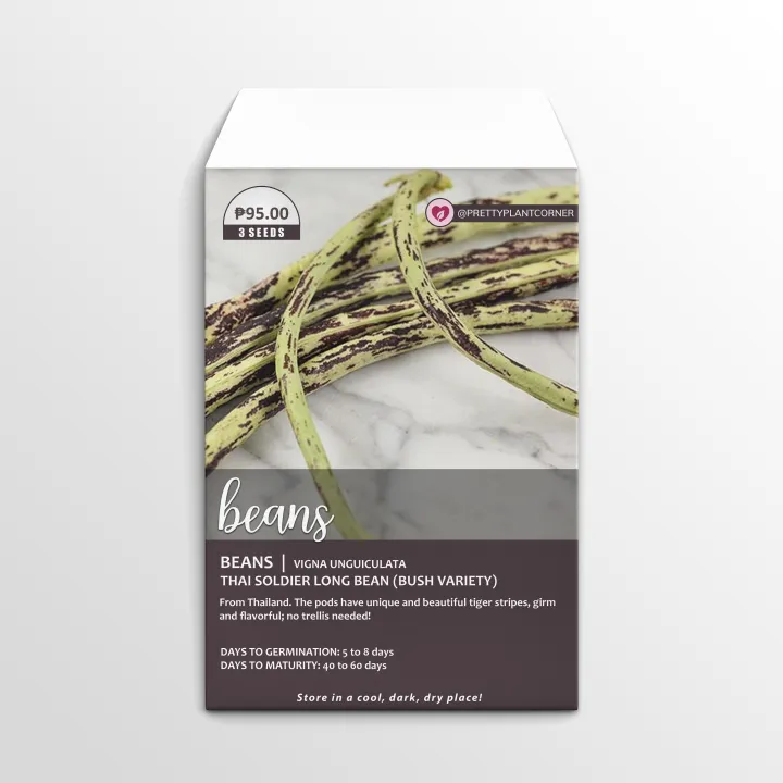 Thai Soldier Long Bean Seeds | Lazada PH