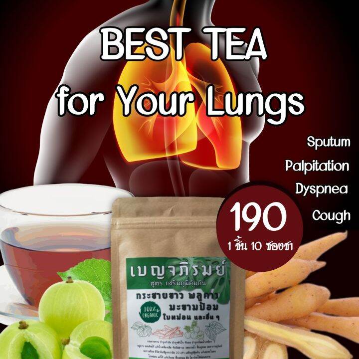 ฺBEST TEA FOR YOUR LUNGS Thai herbal formula (Contains 10 tea bags) | Lazada.co.th