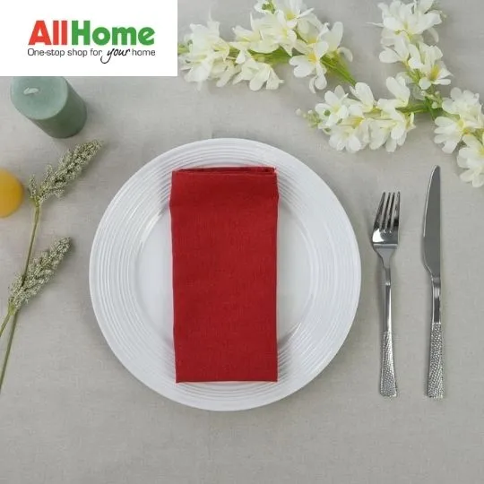 Table Napkin Set of 4 Plain Red | Lazada PH