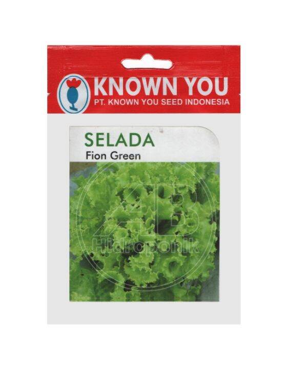 Benih Selada Keriting Fion Green Known You Seed Isi 5 Gram | Lazada ...
