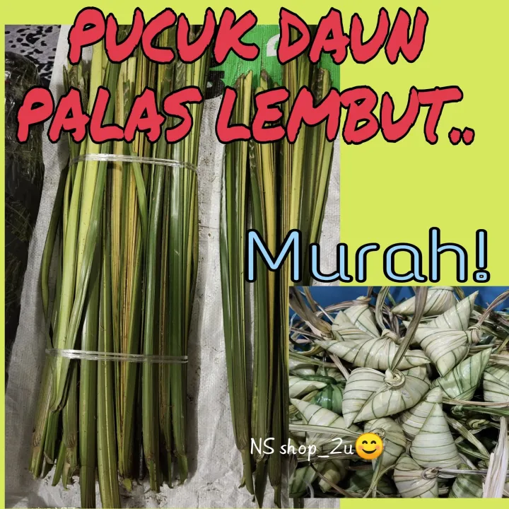 DAUN PALAS | Lazada