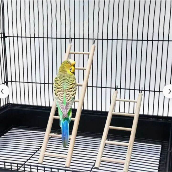GGTU Practical Durable Wooden Bird Cage Toy with Hooks for Lizard ...