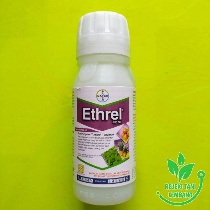 ETHREL 480 SL ZAT PENGATUR TUMBUH TANAMAN 100 ML | Lazada Indonesia