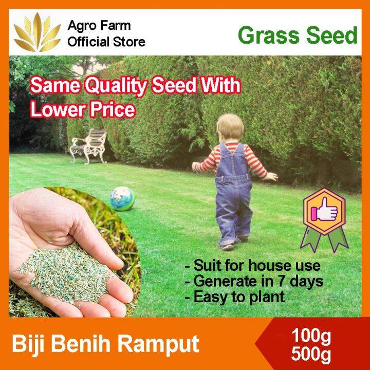 Agro Farm High Germination Rate Bermuda Grass50 Seeds/ Carpet Grass ...
