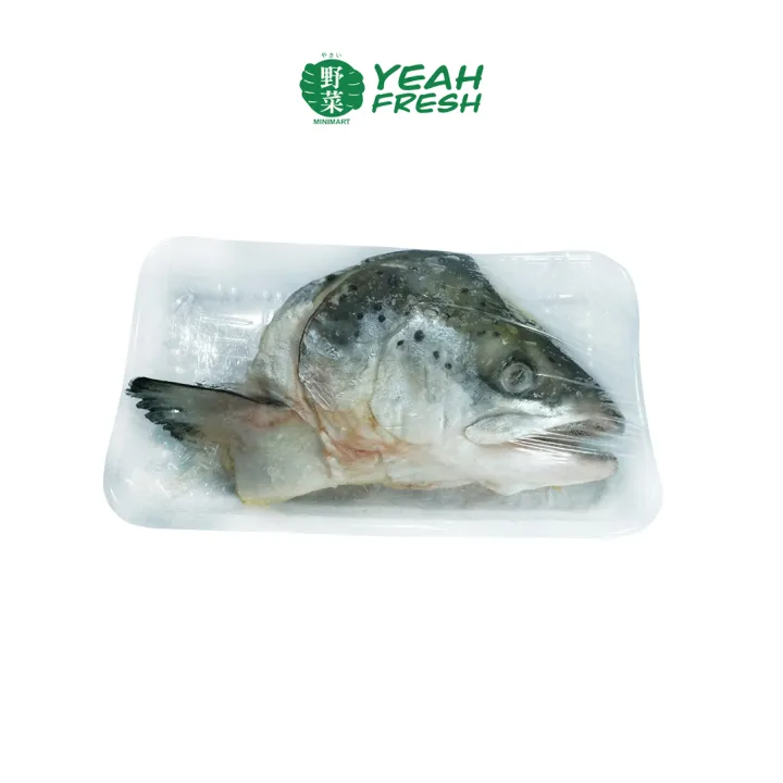 Yeah Fresh Salmon Head (Whole Pc) | Lazada PH