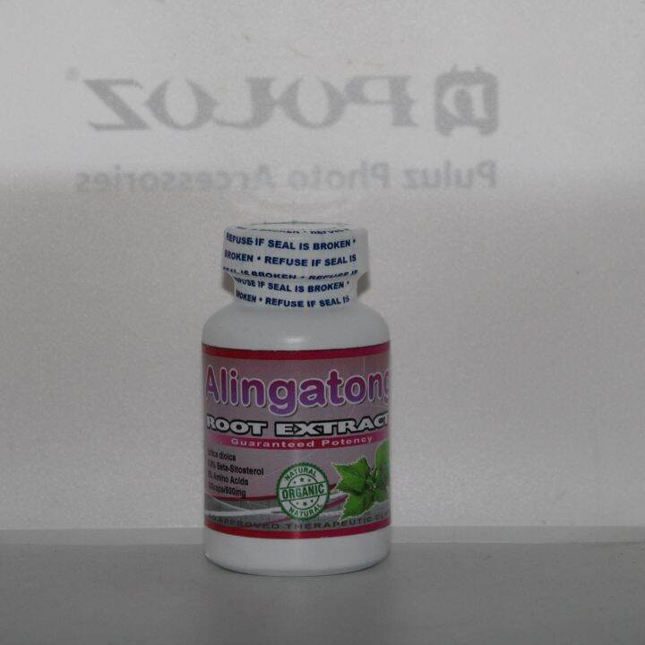 Alingatong Root Extract Herbal Capsule 100 caps/500mg | Lazada PH