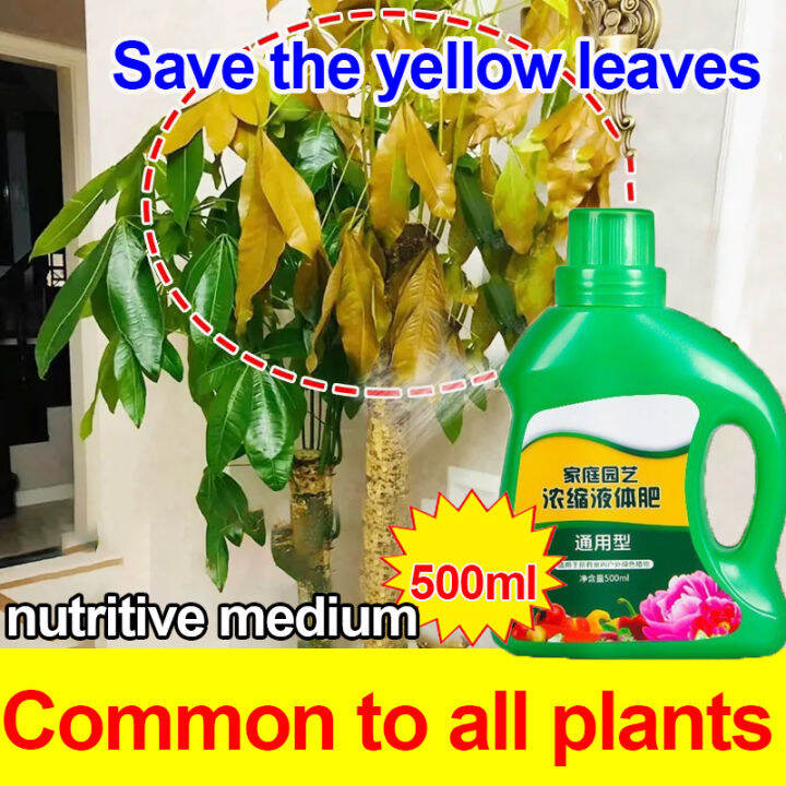 【Plant resurrection】500ml Nutrient Solution Liquid Fertilizer rooting ...