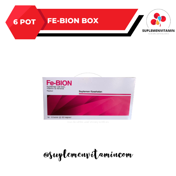Fe BION / Fe-BION Suplemen Vitamin Zat Besi Anemia Original Erlimpex ...