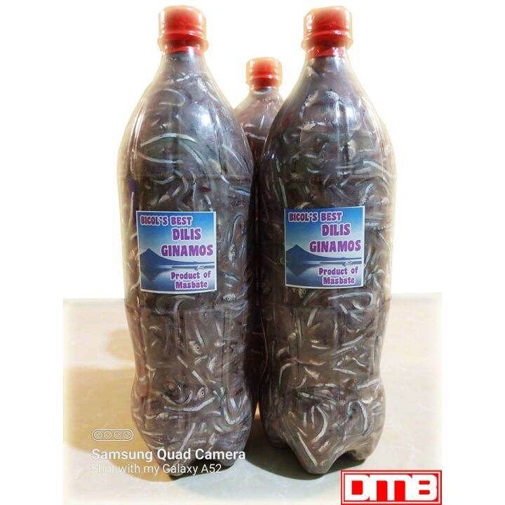 BICOL'S BEST DILIS GINAMOS BAGOONG PRODUCT OF MASBATE 1.5L♘ | Lazada PH