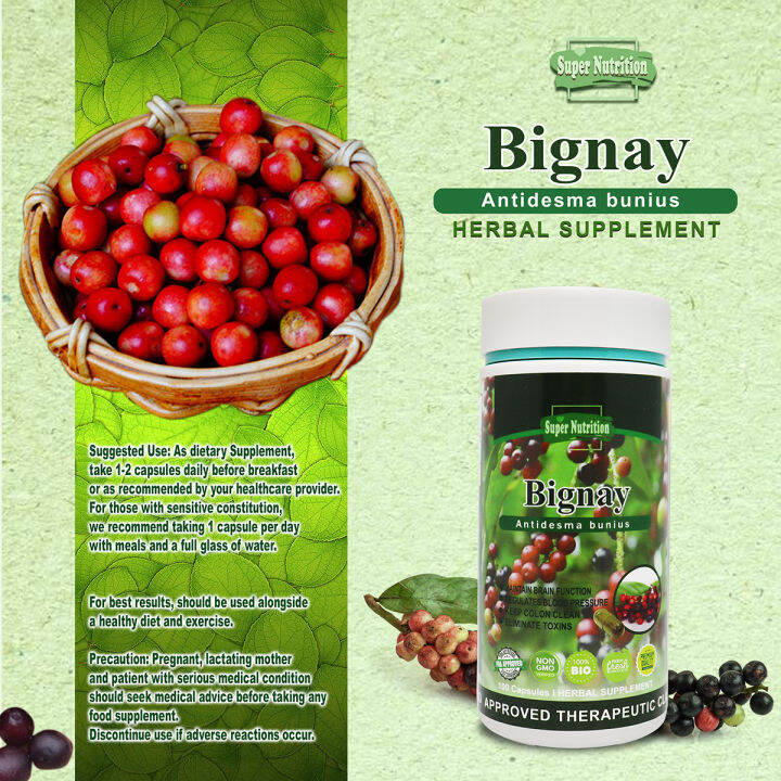 Bignay 100 capsules Food Supplement 500mg (new packaging) | Lazada PH