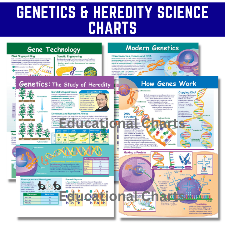 GENETICS AND HEREDITY SCIENCE CHARTS POSTERS, A4 Size Laminated FOR ...