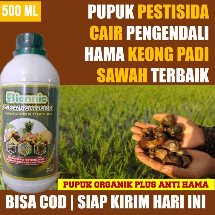Bionnic 500 ML Obat Pembasmi Keong Mas Sawah Terbaik - Pestisida Keong ... Bionnic 500 ML Obat Pembasmi Keong Mas Sawah Terbaik - Pestisida Keong ...