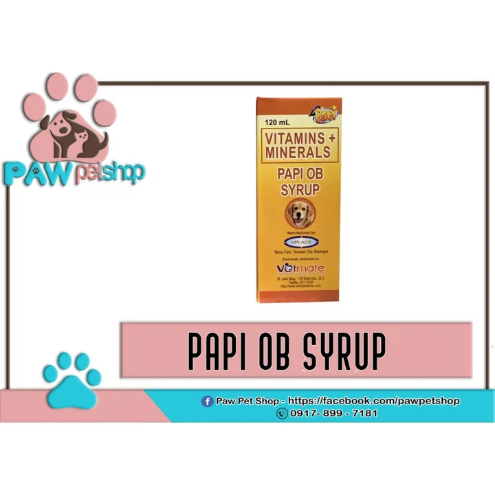 Papi OB Syrup 120 ML Vitamins | Lazada PH