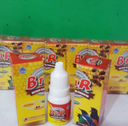 BNR PROBIO-VIT vitamin burung obat burung kicau | Lazada Indonesia