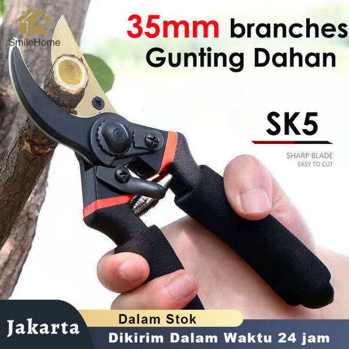 Gunting Dahan / Ranting Bunga Tanaman / PVC - Gunting Kebun & Taman | Lazada Indonesia