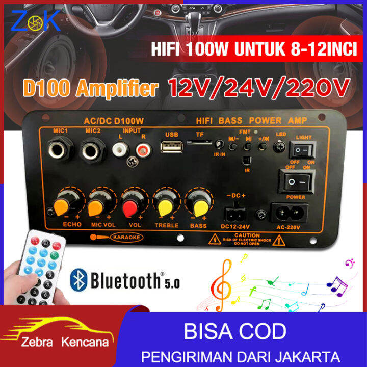 D10 D20 D100 220V 12V 24V Bluetooth Digital 5.0 Papan Amplifier Subwoofer Amplifier Mikrofon ...