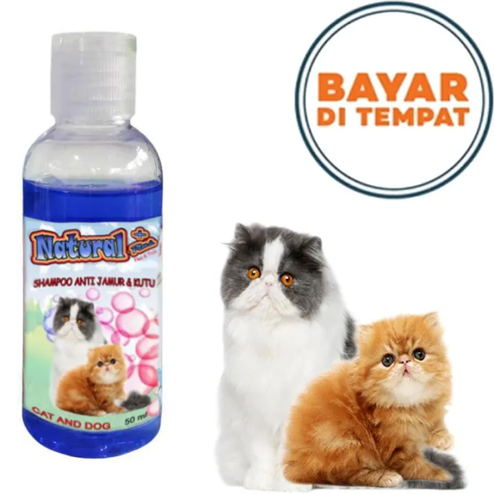 SAMPO KUCING SHAMPO ANJING MINI NATURAL PLUS | Lazada Indonesia