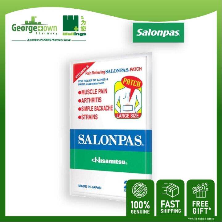 SALONPAS PATCH LARGE 2S [Georgetown Wellings Pharmacy] | Lazada