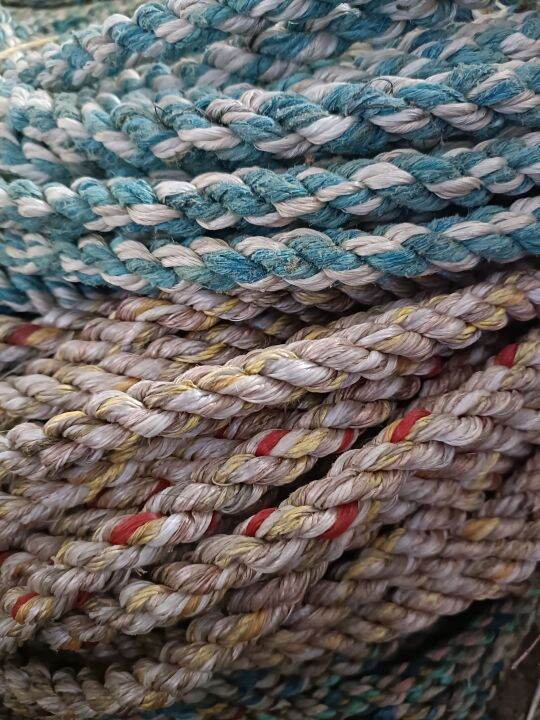 Payaw-Casia (Tinae) | Lazada PH