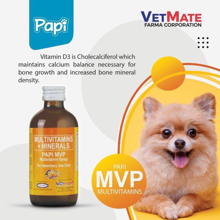 Papi MVP Multivitamins Syrup Food Suplement 120ML The cat lice removal ...