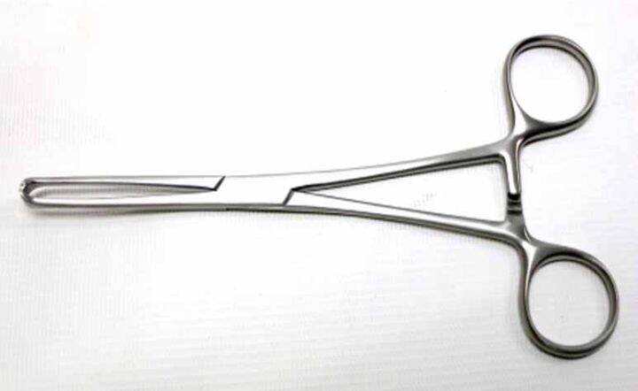 Allis tissue Forcep Stainless Steel 6 inches, 8inches | Lazada PH