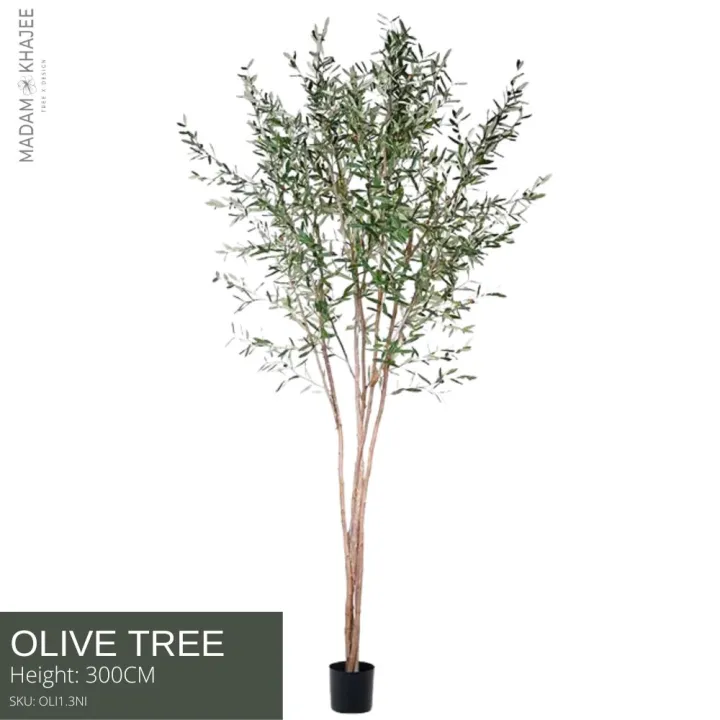 Olive Tree - Height 300 cm ต้นมะกอก ความสูง 300 ซม.ต้นไม้ปลอมเกรดพรีเมี ...