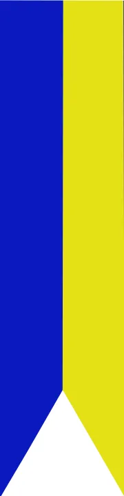 (Cotton) Bendera Perlis Flag 1x2,2x4,3x6,2x8 ft *Ready Stock* | Lazada