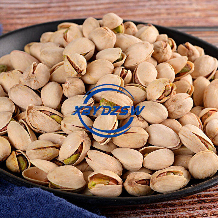 【XBYDZSW】【Fast Delivery From Stock】伊朗开心果 Iranian Pistachio 250g/500g Snack Original Primary ...
