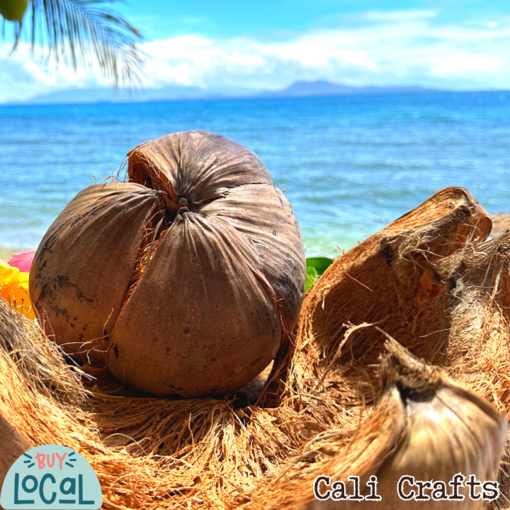 Cali Crafts. Natural Coconut Husk/2 PIECES WHOLE BUNOT NG NIYOG/Organic ...