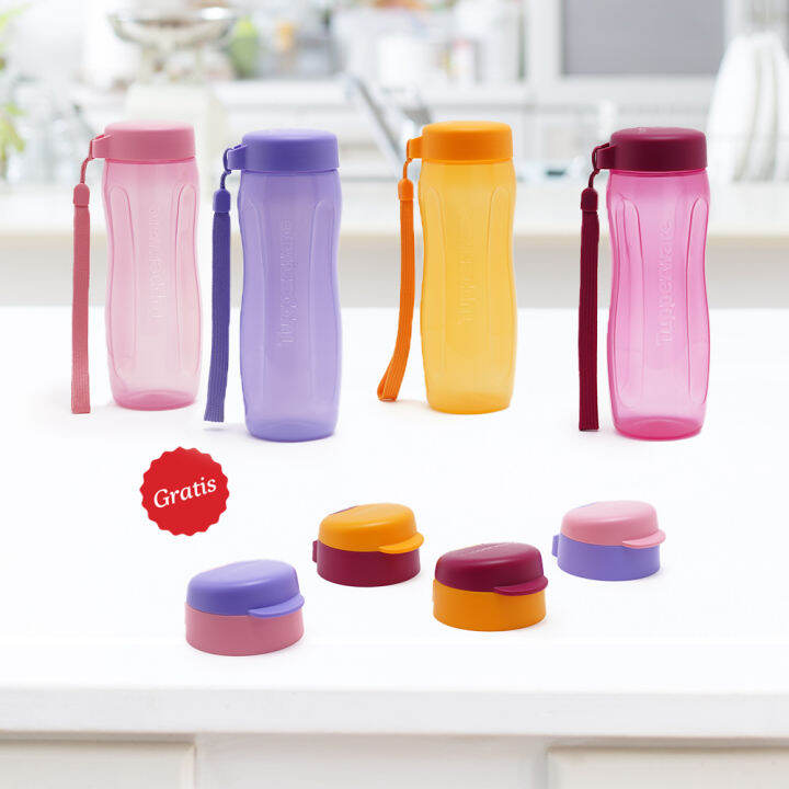 Tupperware Fashion Eco (1) Botol Minum 500 ml Tupperware | Lazada Indonesia