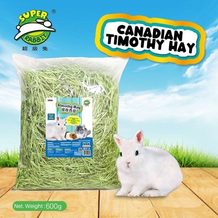 Super Rabbit CANADIAN Timothy Hay for Rabbits Guinea Pigs 600g | Lazada PH