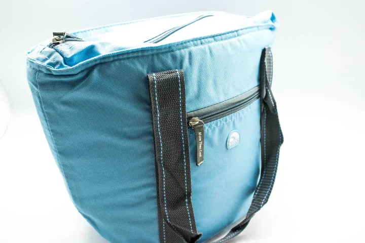 Reusable Lunch Organizer Thermal Shoulder Bag 173 Gaisano Grand | Lazada PH