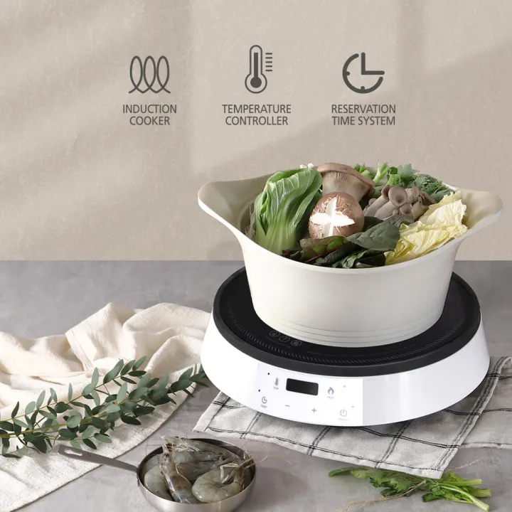 NEOFLAM SMART IH Induction Electric Hob (Range) Simple Button 2000W ...